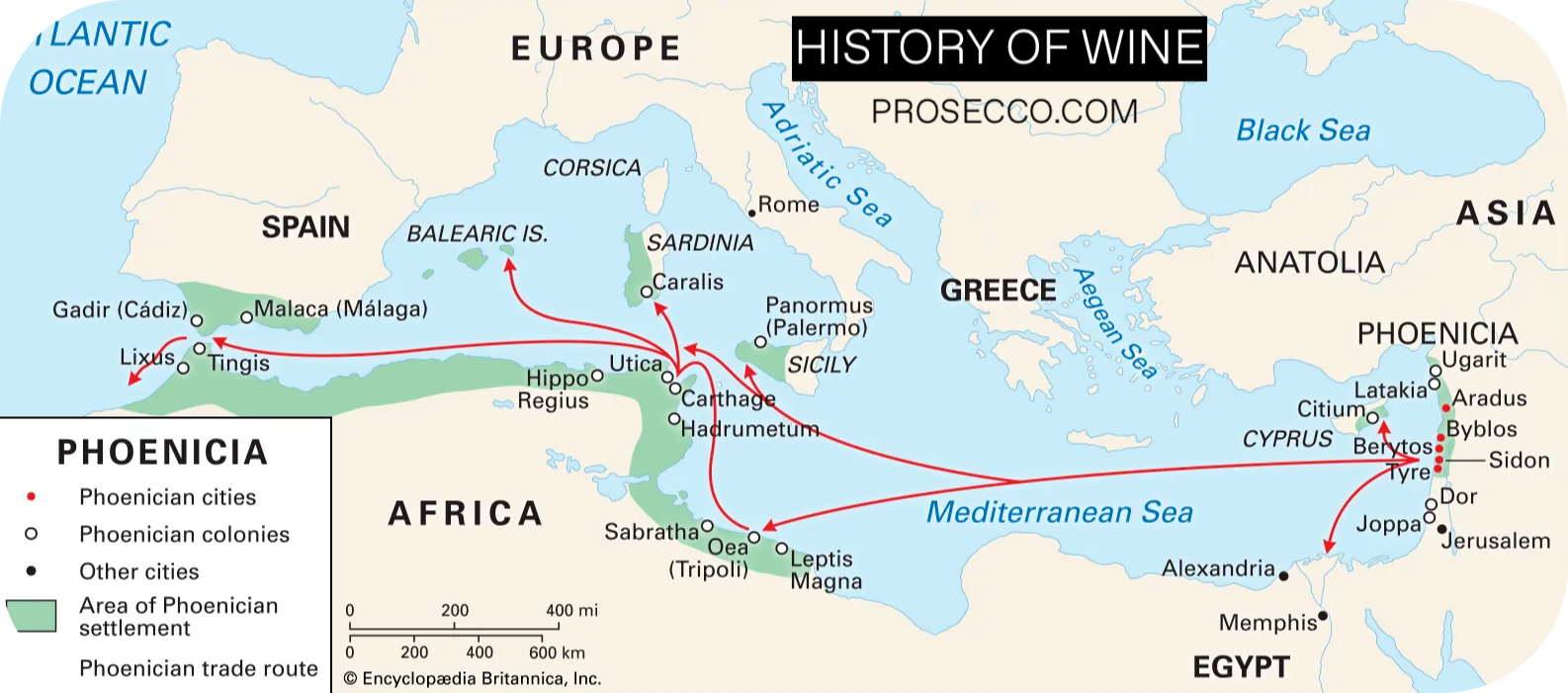 History of Wine: The Best Global Wines from 45 Countries